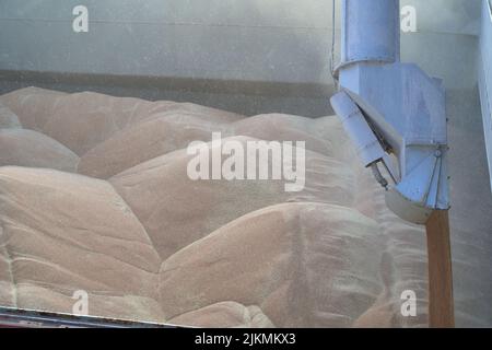 loading corn onto a bulk carrier ship in the port at the grain terminal ...