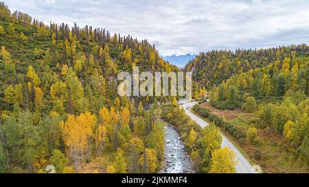 An aerial shot of a road surrounded by trees in a forest Stock Photo ...