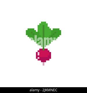 Radish pixel art. vegetable garden plant 8 bit. pixelated Vector ...