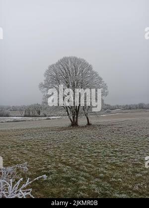 A chilling view of a snow-covered field and road in the countryside ...