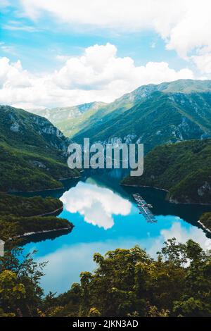 A vertical shot of a lake reflecting the environment in the sunset ...