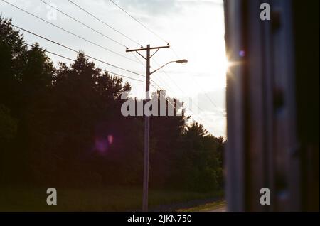 The powerline next to the trees on a bright sky background Stock Photo ...