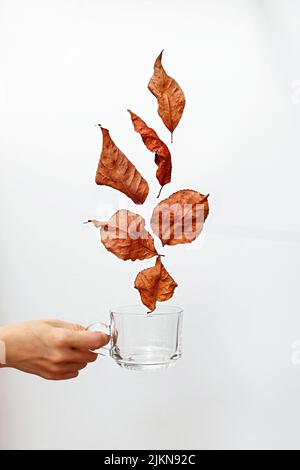 Autumn composition with cup and dried leaves on table. Flat lay, top ...