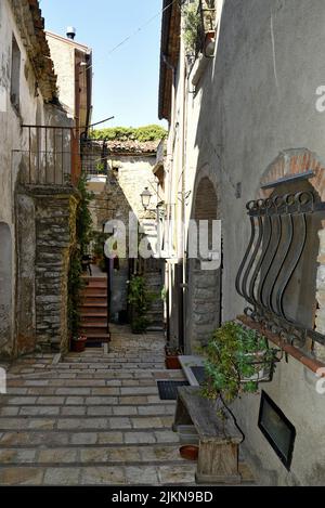 A vertical shot of a building facade with narrow long windows, Paris ...