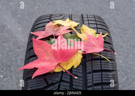 Change summer tires with autumn leaves Stock Photo - Alamy