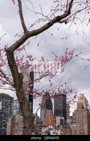 A vertical shot of modern buildings on a cloudy day Stock Photo - Alamy