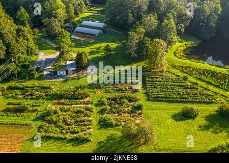 An aerial view of rural ranch with planted field near to a dense forest ...