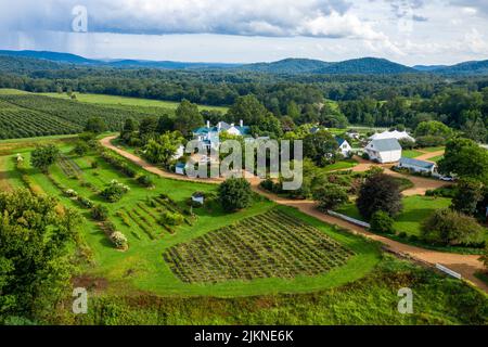 An aerial view of rural ranch with planted field near to a dense forest ...
