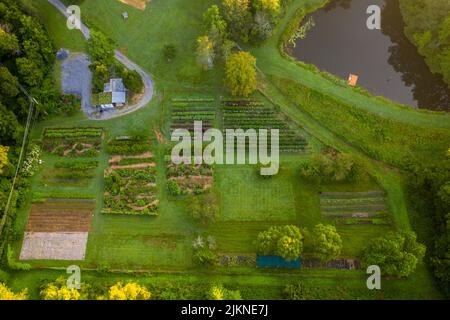 An aerial view of rural ranch with planted field near to a dense forest ...