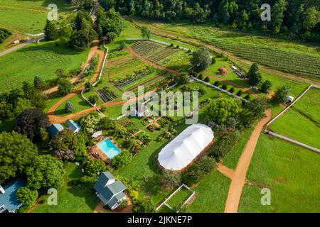 An aerial view of rural ranch with planted field near to a dense forest ...