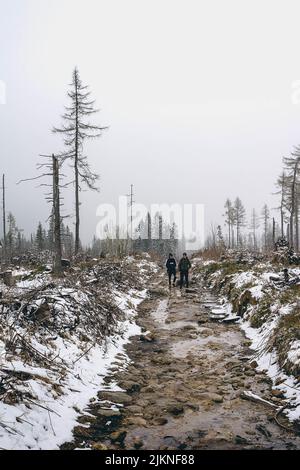 A vertical shot of a leafless tree on a rocky hill Stock Photo - Alamy