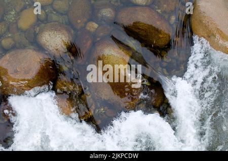 A closeup shot of a flowing river in winter Stock Photo - Alamy
