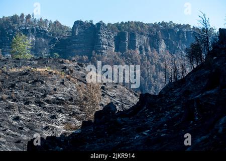 Hrensko, Czech Republic. 03rd Aug, 2022. A large forest fire in the ...