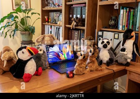 Issaquah, Washington, USA. Laptop PC surrounded by a collection of ...