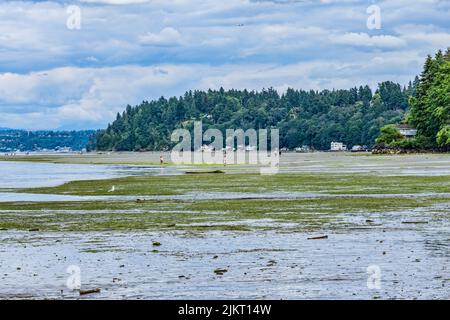 A view of the shoreline in Dash Point, Washington Stock Photo - Alamy
