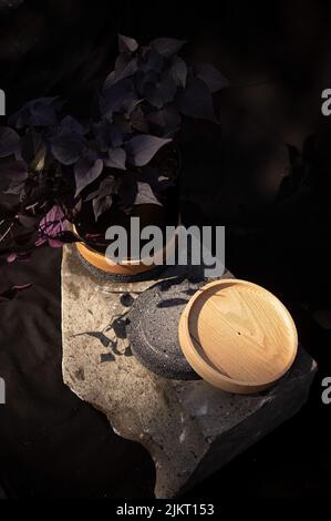 Designer planter on stone with black background Stock Photo - Alamy