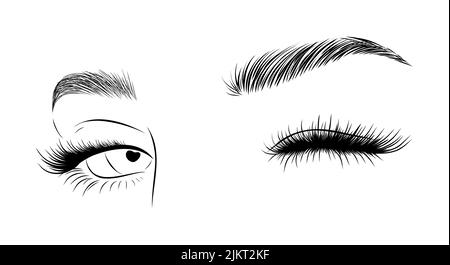 Realistic lashes on white background. Female open eyes and brows ...