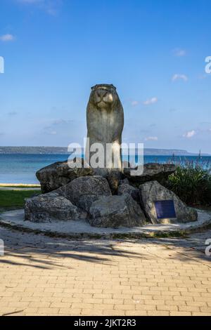 Groundhog Wiarton Willie statue in Wiarton Ontario Canada Stock Photo ...