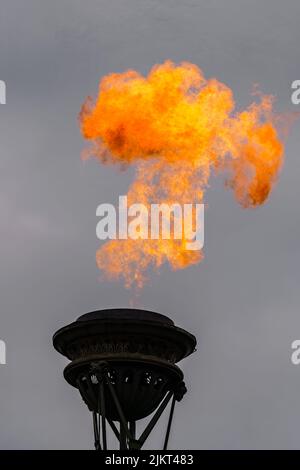 The fire of memory is lit on the rostral columns in St. Petersburg at ...
