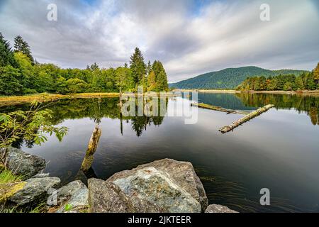 Mesmerizing view of a calm lake surrounded by trees Stock Photo - Alamy