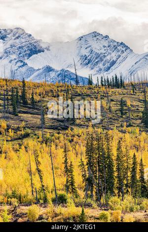 A vertical shot of the snowy rocky mountains under an evening sky in ...