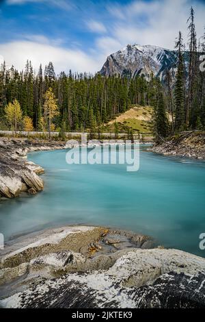 A vertical shot of a beautiful mountain peak with silhouettes of pine ...