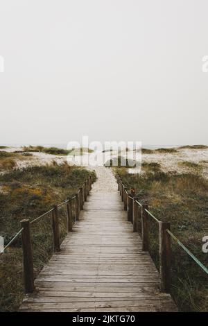 A vertical shot of a wooden path leading to the beautiful forest Stock ...