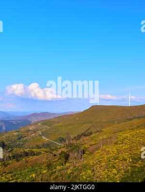 A vertical shot of wind turbines in the beautiful forest Stock Photo ...