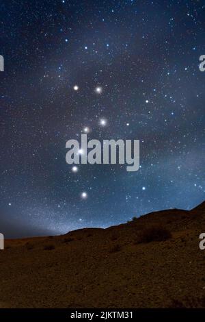 A vertical shot of the beautiful starry sky and the Milky Way over the ...