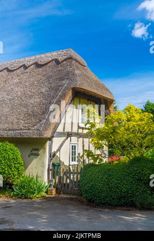 UK, England, Cambridgeshire, Wennington, Traditional thatched cottage ...