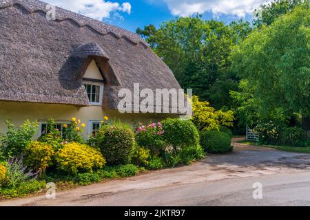 UK, England, Cambridgeshire, Wennington, Traditional thatched cottage ...