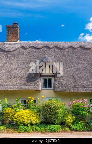 Traditional thatched cottage, Wennington, Cambridgeshire, England ...
