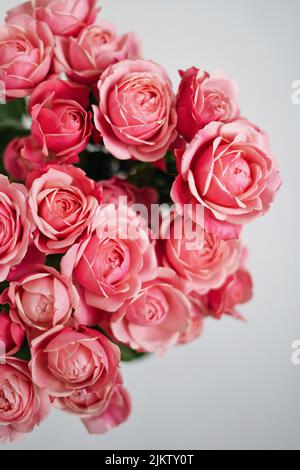 Blurred background of pink and gray colors. Defocused colored ...