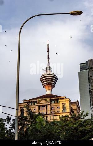 A low angle shot of flock of birds flying in formation under cloudy sky ...
