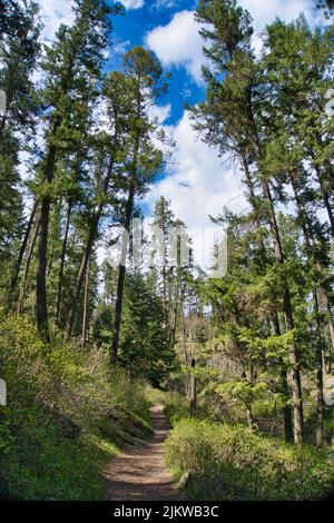 A vertical shot of a narrow walkway on top of the big mountains with ...