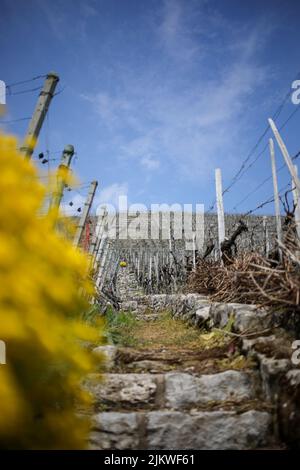 beautiful colored photograph of a spring object Stock Photo - Alamy