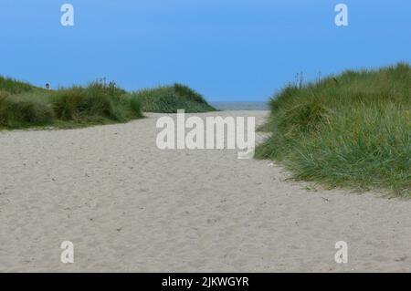 Beautiful shot of a beach under the clear skies Stock Photo - Alamy