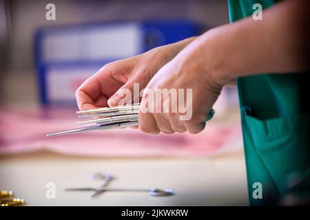 Before sterilization of surgical instruments, a nursing assistant ...