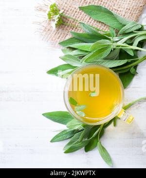 Sage herbal tea. Fresh salvia leaves and tea strainer arrangement ...