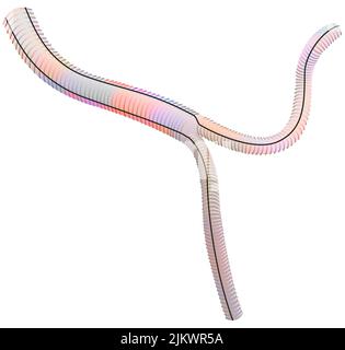 Vascular prosthesis that allows the replacement of damaged vessels ...