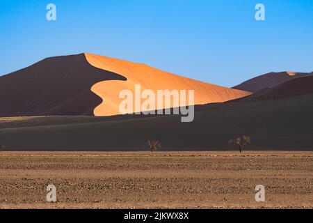 Namibia, the Namib desert, graphic landscape of yellow dunes, rain ...
