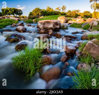 Closeup shot of a flowing river through the forest Stock Photo - Alamy