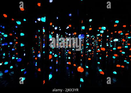 A colorful light art installation at TeamLab Borderless, Tokyo, Japan ...