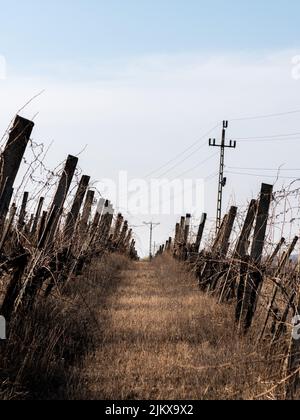 Vertical shot of a barbed-wire fence on sky background in Seville ...