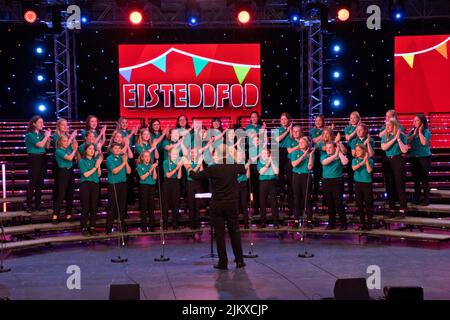 Choir singers, performers and visitors at the National Eisteddfod ...