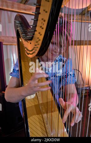 Welsh harp maker stall at the National Eisteddfod festival of Welsh ...