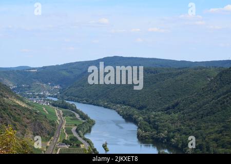 Mosel valley between Klotten and Treis-Karden Stock Photo - Alamy