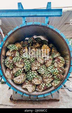Oven full of agave ready to start steaming it Stock Photo - Alamy