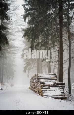A vertical shot of cut logs with snow in a forest in Steinberg, Goslar ...