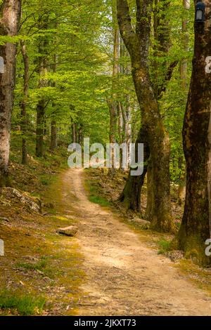 Path to a beautiful dolmen in the Basque country. Errenteria, Gipuzkoa ...